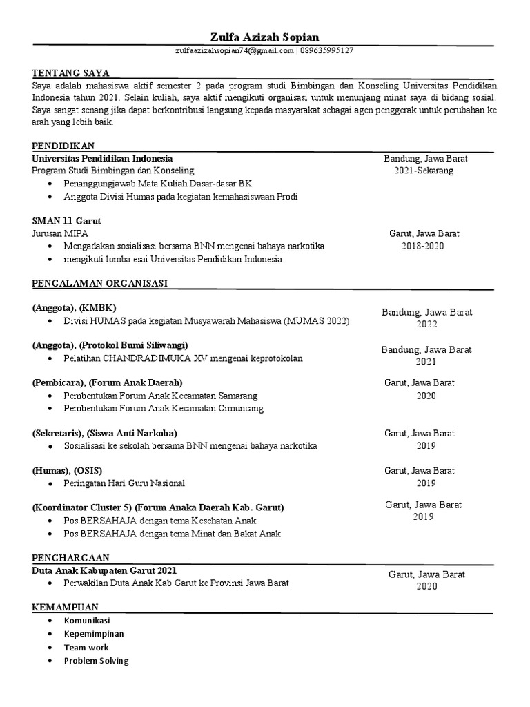 Template CV | PDF
