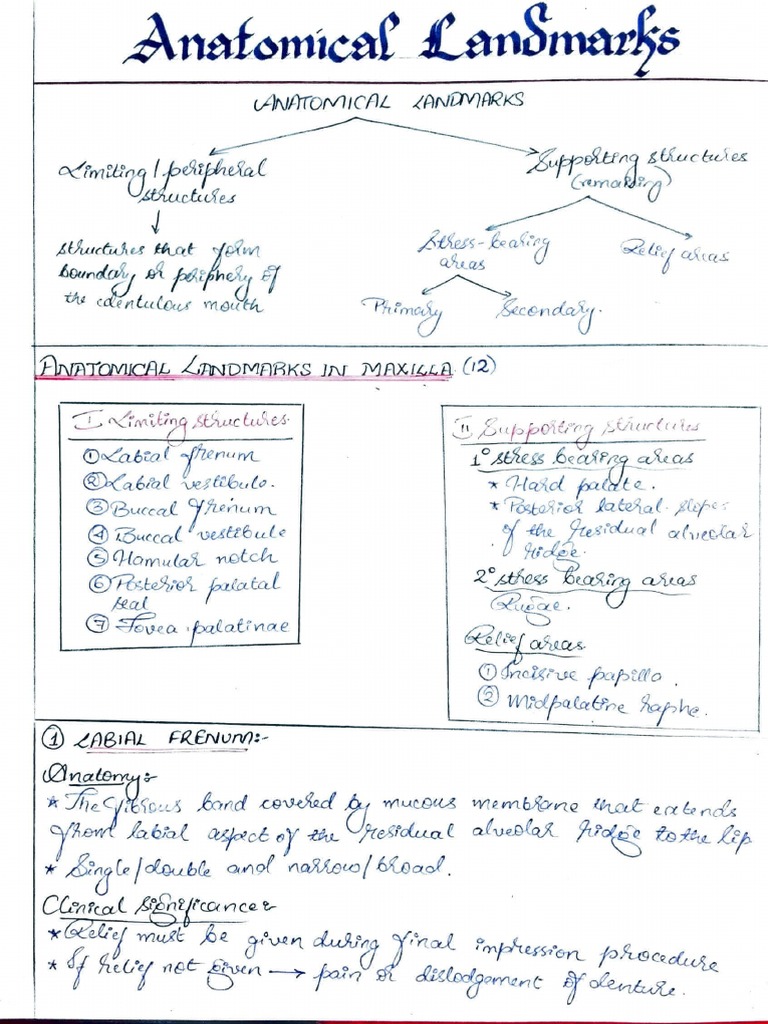 Anatomical Landmarks - PCP | PDF | Animal Anatomy | Anatomy