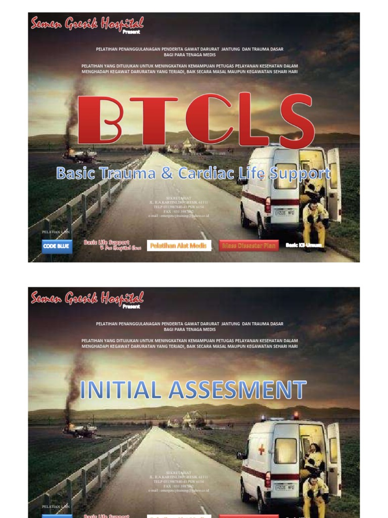 BTCLS Initial Assesment | PDF
