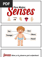 5 Senses Booklet | PDF