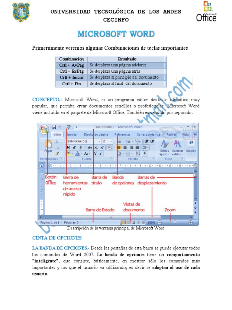 Microsoft Word | Descargar gratis PDF | Microsoft Word | Microsoft