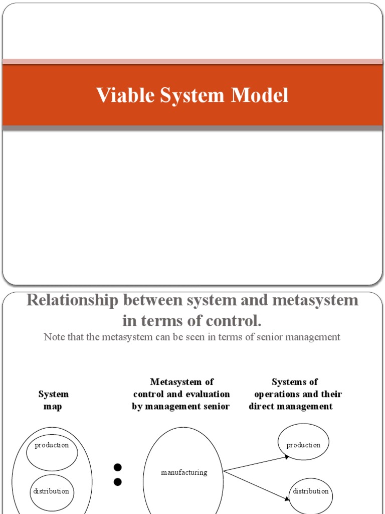 #Slides 6 Viable System Model | PDF | System | Behavior