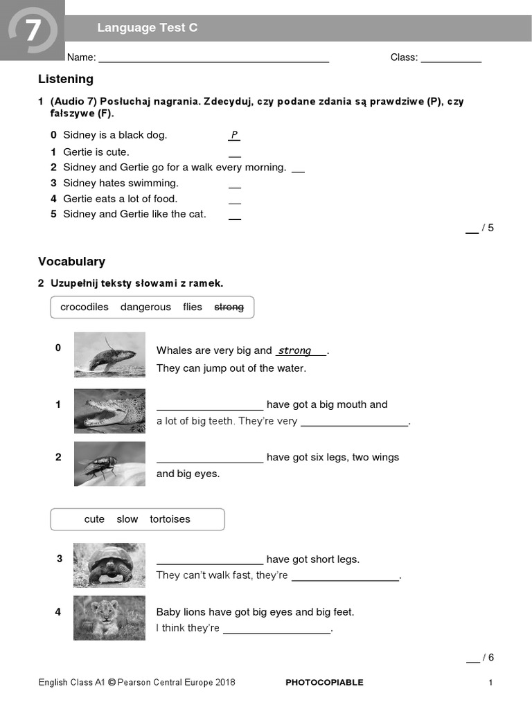 ECA1 Tests Language Test 7C New2018 | PDF