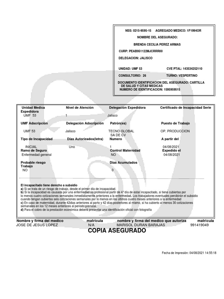 Incapacidad en Blanco Imss | PDF | Salud pública | Cuidado de la salud