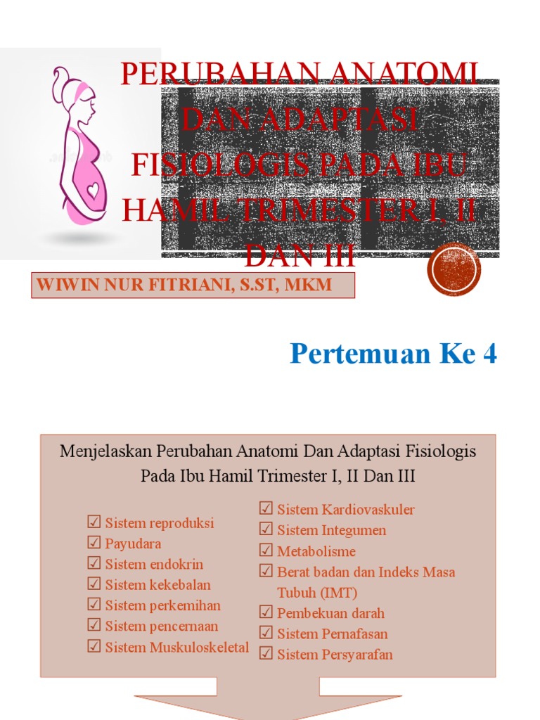 Wiwin Perubahan Anatomi Dan Adaptasi Fisiologis PD Ibu Hamil | PDF | Kesehatan Holistik
