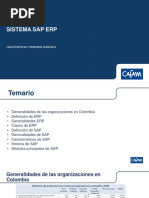 Manual de Sap PDF | PDF