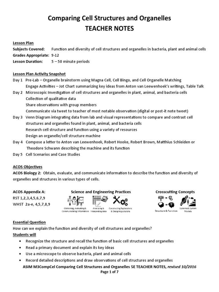 Comparing Cell Structures and Organelles Teacher 2 | PDF | Cell ...