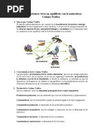 Cadena Alimenticia Acuática y Niveles Tróficos | PDF | Red alimentaria ...