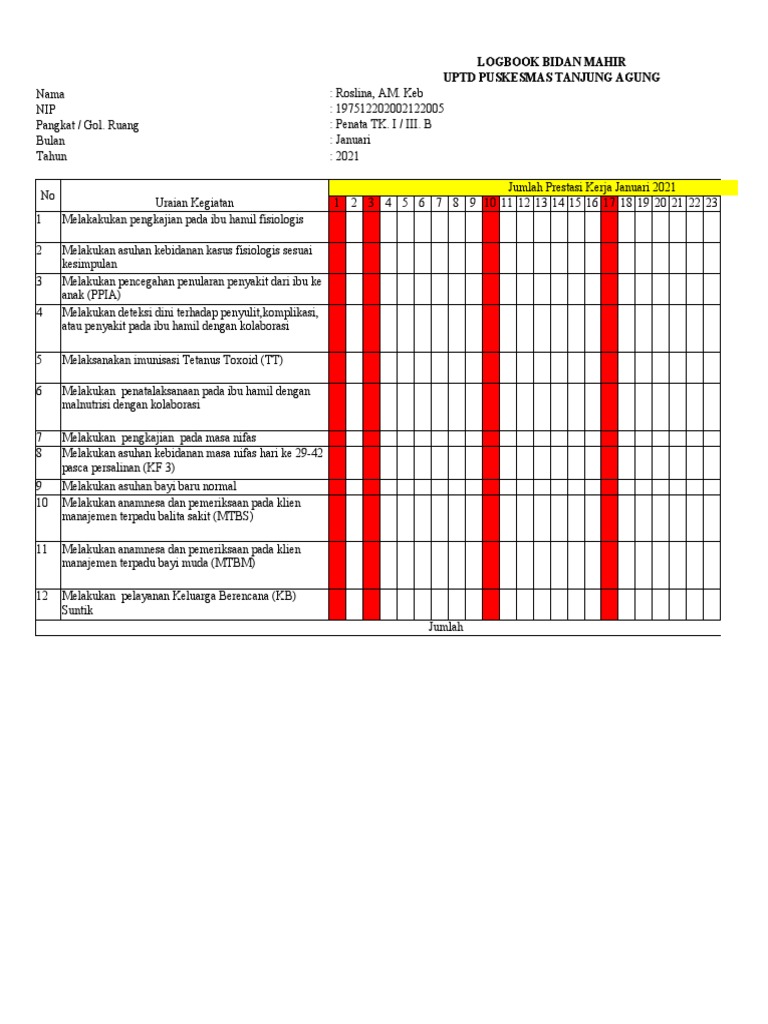 Logbook Bidan Mahir | PDF