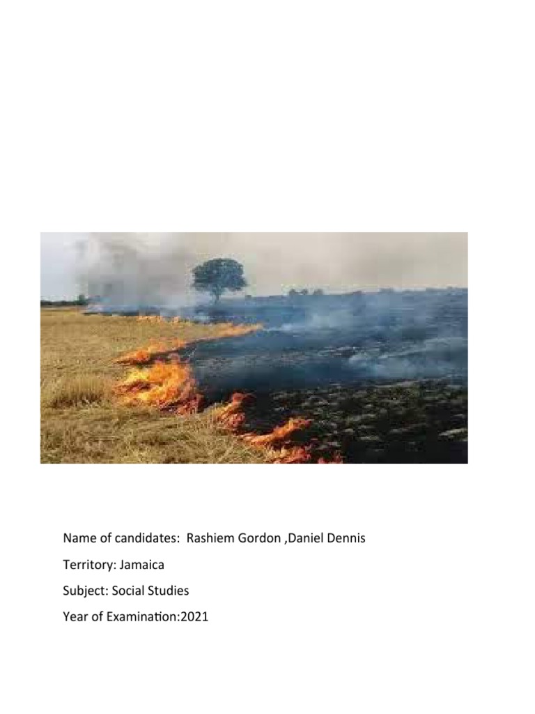 Social Studies Sba | PDF | Cognition