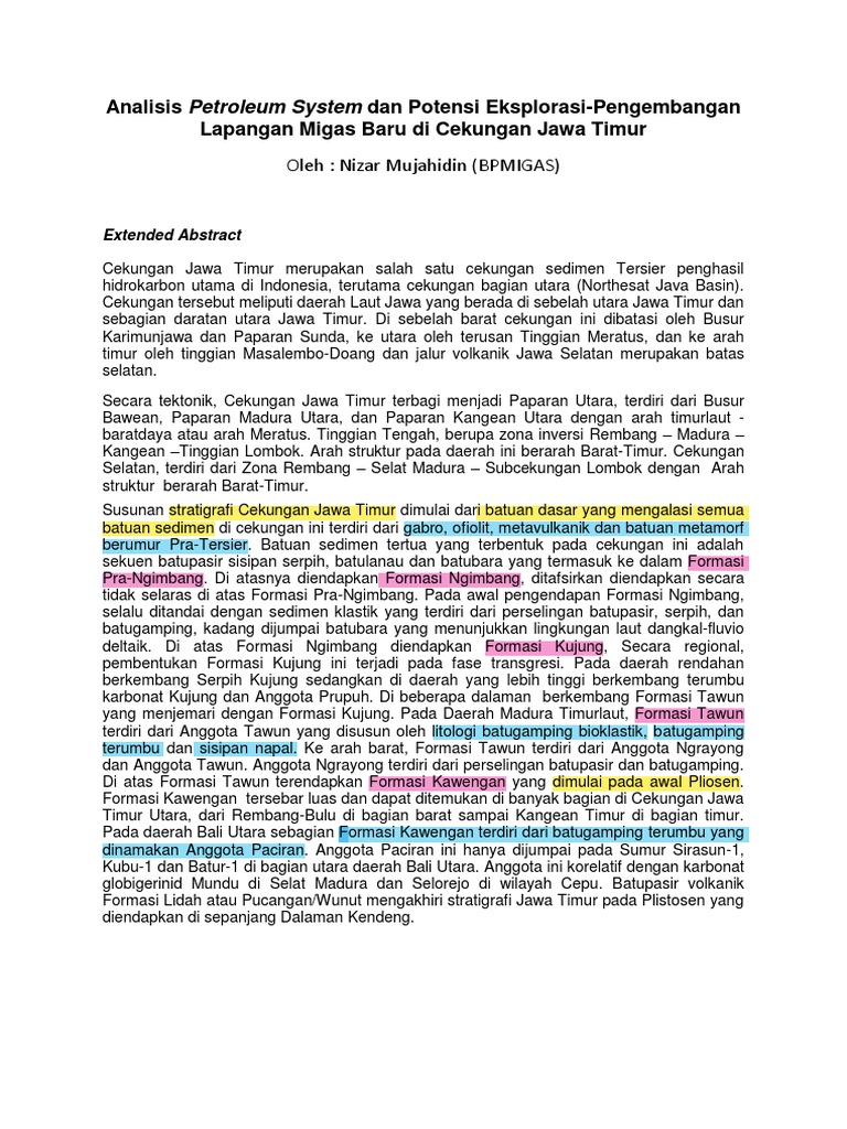 Contoh Analisis Petroleum System Suatu Cekungan | PDF