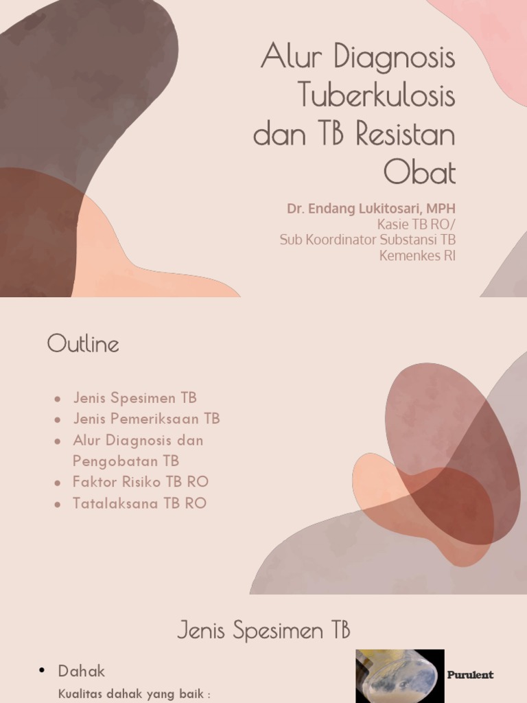 Algoritma Pemeriksaan TB Dengan TCM - WSTCM TB 1 2021 | PDF