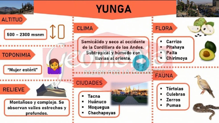 Resumen Región Yunga | PDF