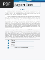 Wild Cat Family List by Lineage - Family | PDF | Felidae | Panthera