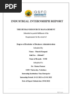 HR Internship Report 1 | PDF | Recruitment | Human Resource Management