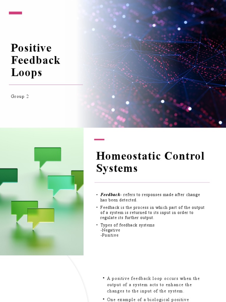 Positive Feedback Loops | PDF
