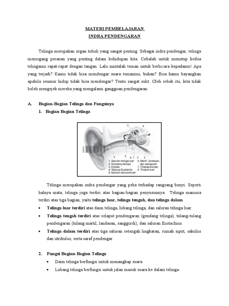 Materi Pembelajaran (Indra Pendengar) | PDF | Kesehatan Holistik