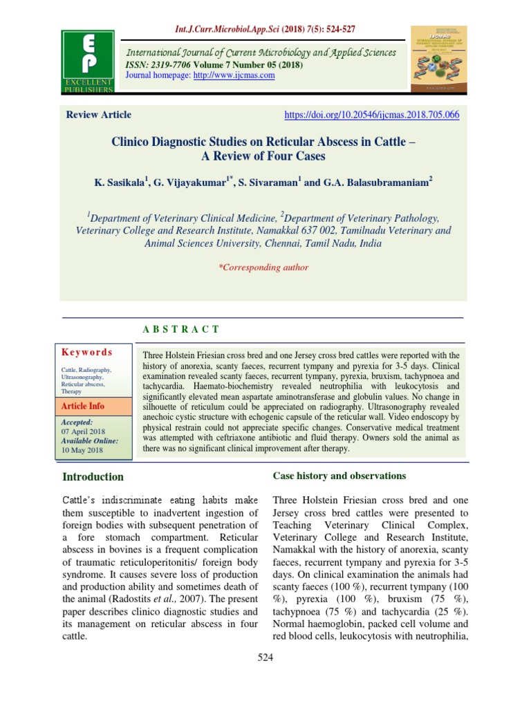 Reticular Abscess | PDF | Endoscopy | Cattle