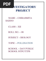 Pollination Class 12 Biology Project | PDF | Pollination | Pollinators