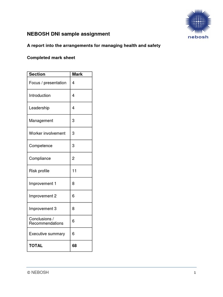 NEBOSH DNI Sample Assignment: A Report Into The Arrangements For ...