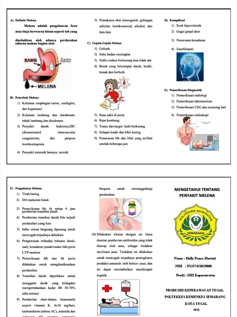 Leaflet Melena | PDF