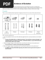 Evolution Station Cards BIOLOGY COMPLETE WORSHEET ASSIGNMENT ANSWERS ...