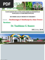 Seenaa Ogbarruu Oromoo | PDF