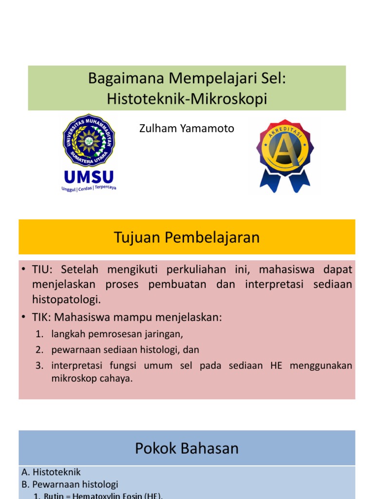 Histoteknik Zulham 2021 | PDF