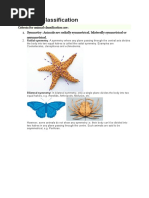 Montessori Butterfly Nomenclature Cards Ages 6 To 9 | PDF