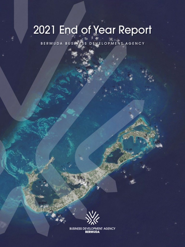 BDA 2021 End of Year Report Final | PDF | Insurance | Trust Law
