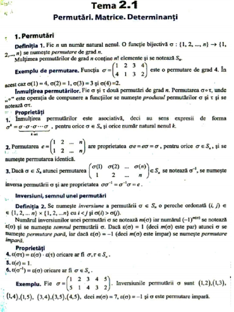 Permutari Matrice Determinanti | PDF