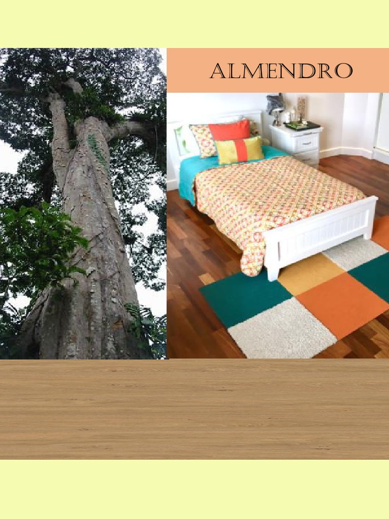 Almendro de montaña: características y usos de esta dura madera ...