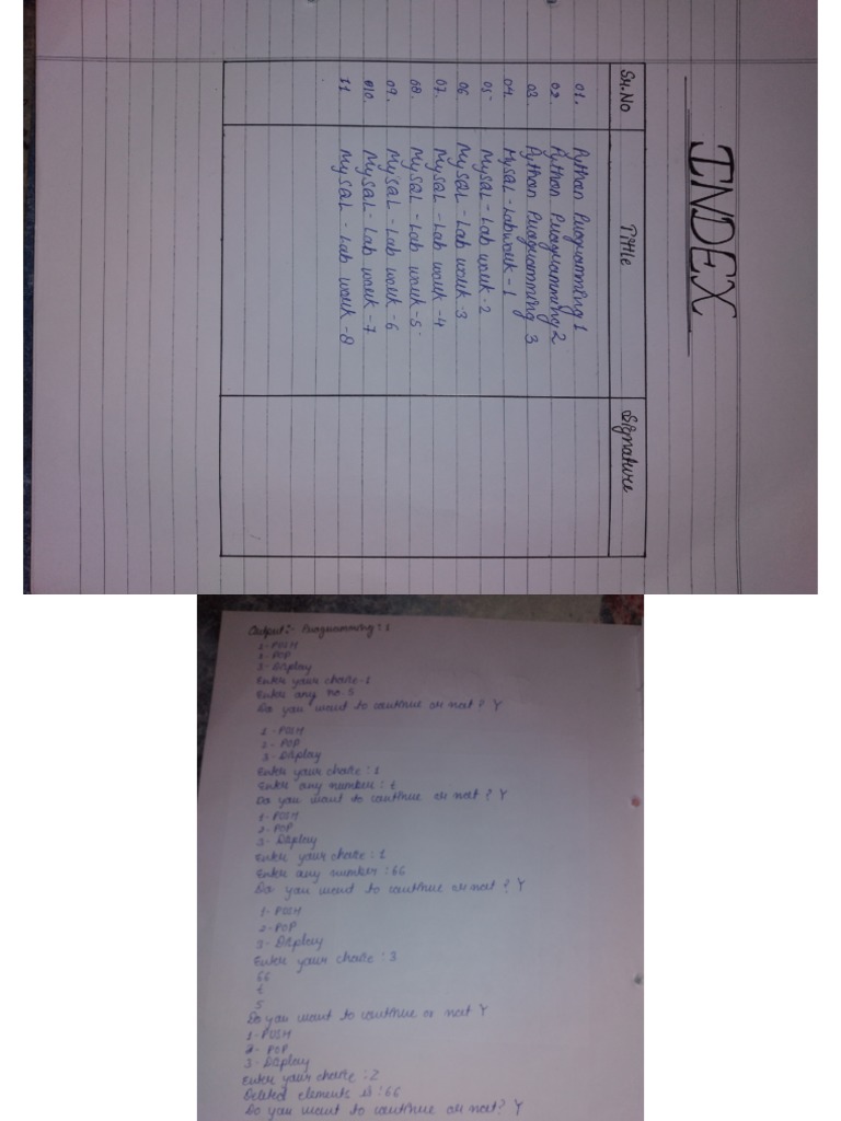 Computer Science Practical File | PDF