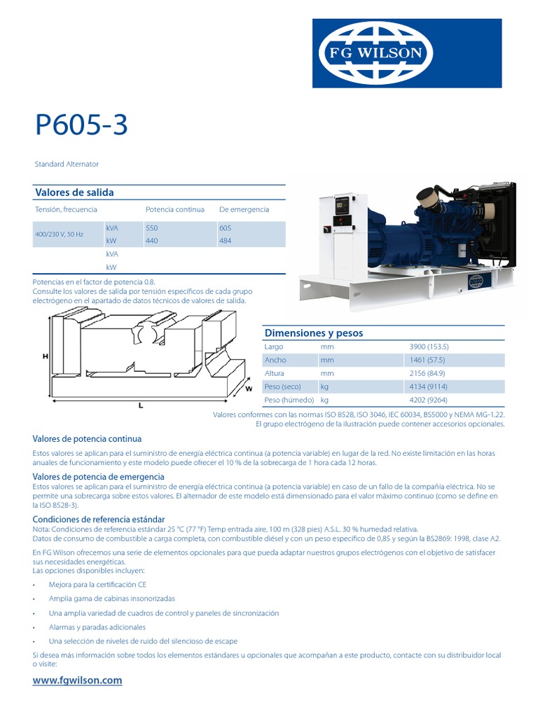 P605-3 StdAlt (ES) | PDF | Energy Technology