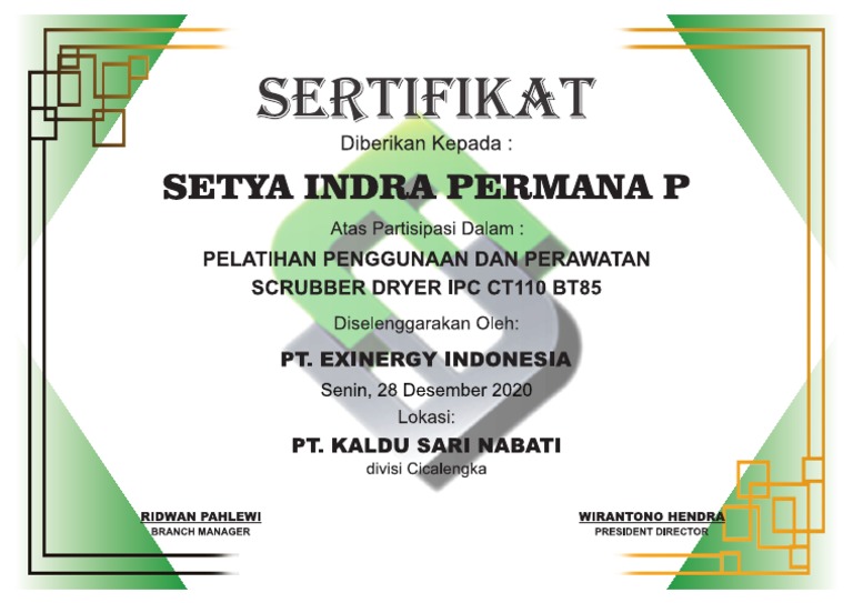 Setya Indra Permana P | PDF