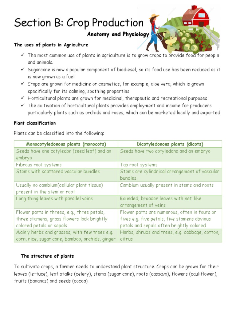 Section B-Introduction To Crop Production | PDF | Plant Stem | Leaf