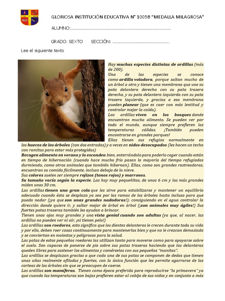 Lectura - Ardillas | PDF | Roedor | Ardilla