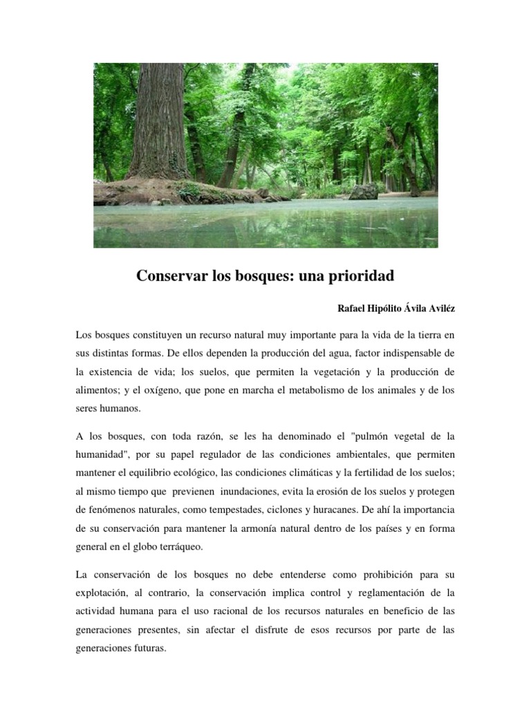 Conservar Los Bosques | PDF | Movimiento conservacionista | Los bosques
