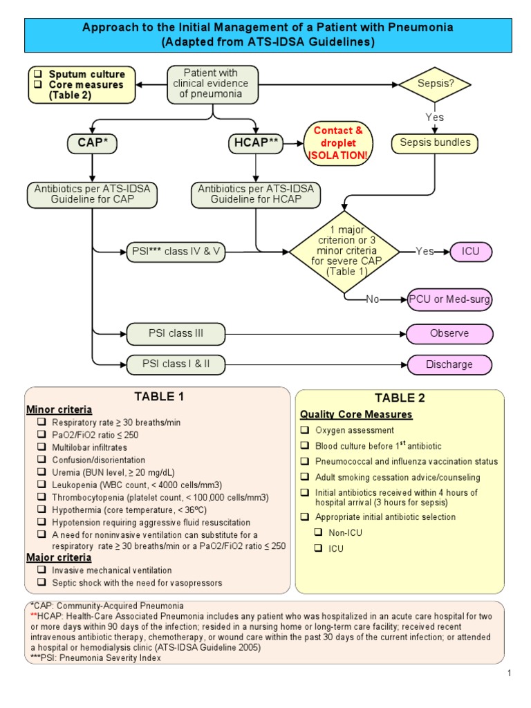 Pneumonia Pathway Final 2010 Rev4 | Pneumonia | Sepsis
