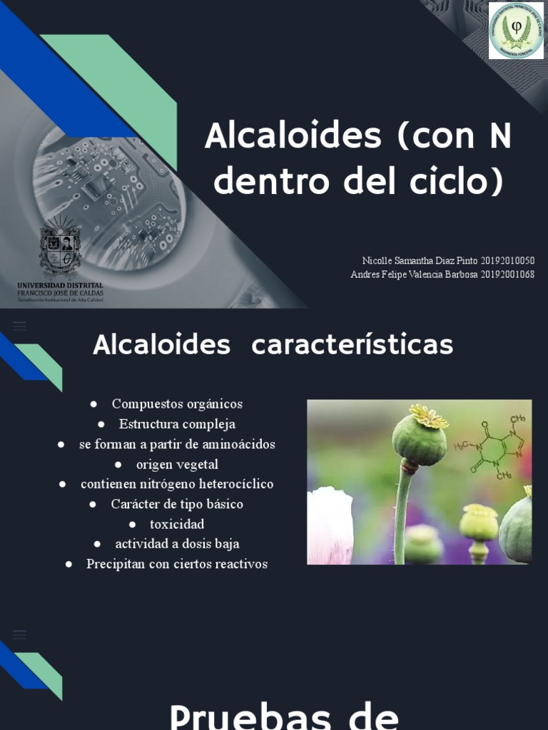 Alcaloides derivados de aminoácidos: estructuras, fuentes naturales y ...