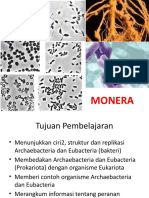 Macam Macam Bakteri | PDF