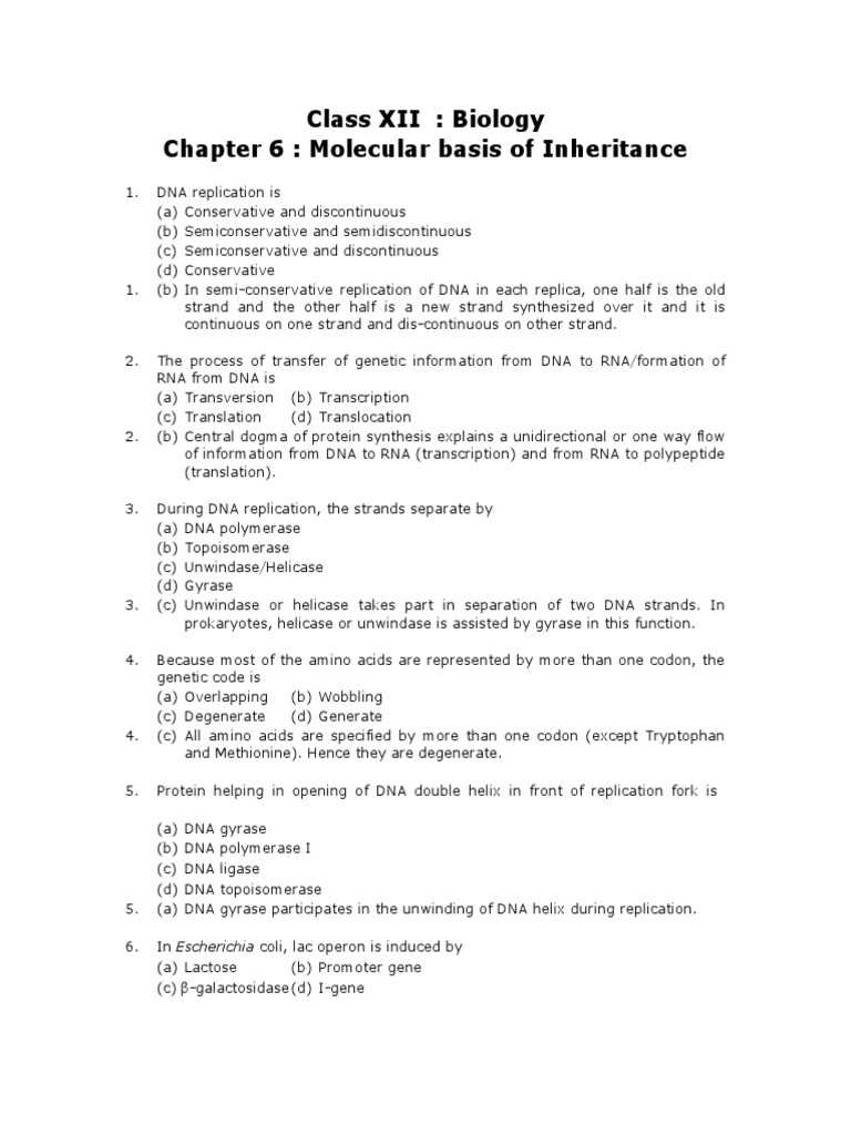 Class XII: Biology Chapter 6: Molecular Basis of Inheritance | PDF ...