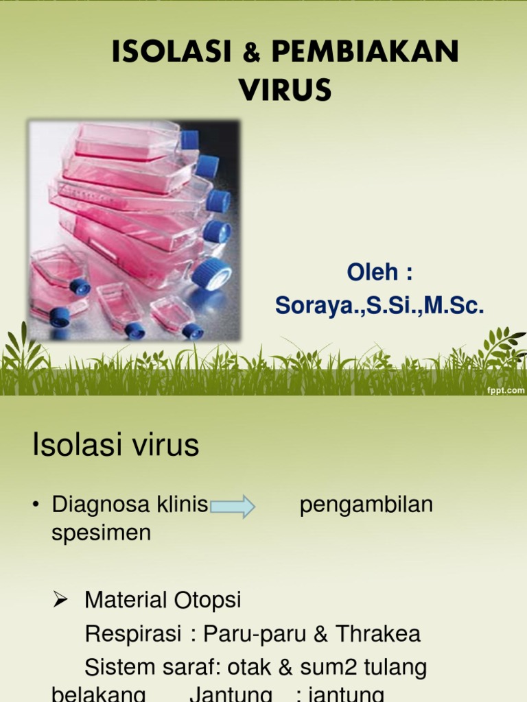 Inokulasi Virus Pada Telur Embrio | PDF