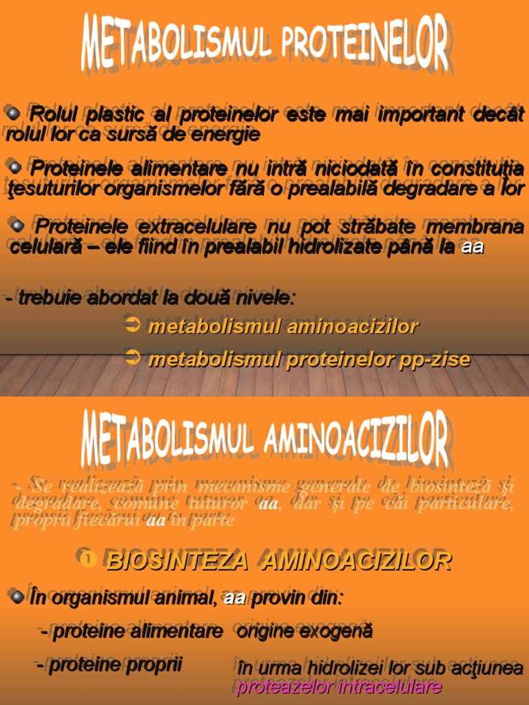 Metabolismul Protidelor | PDF