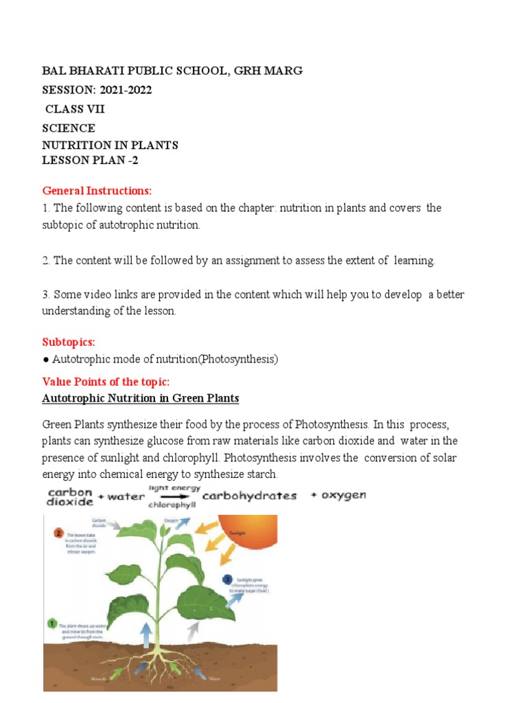 Class 7 - Science - Nutrition in Plants - 2 | PDF | Plants | Leaf