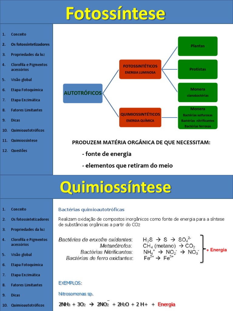 Quimiossintese | PDF