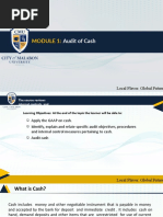 Audit Program - Cash | PDF | Banks | Service Industries