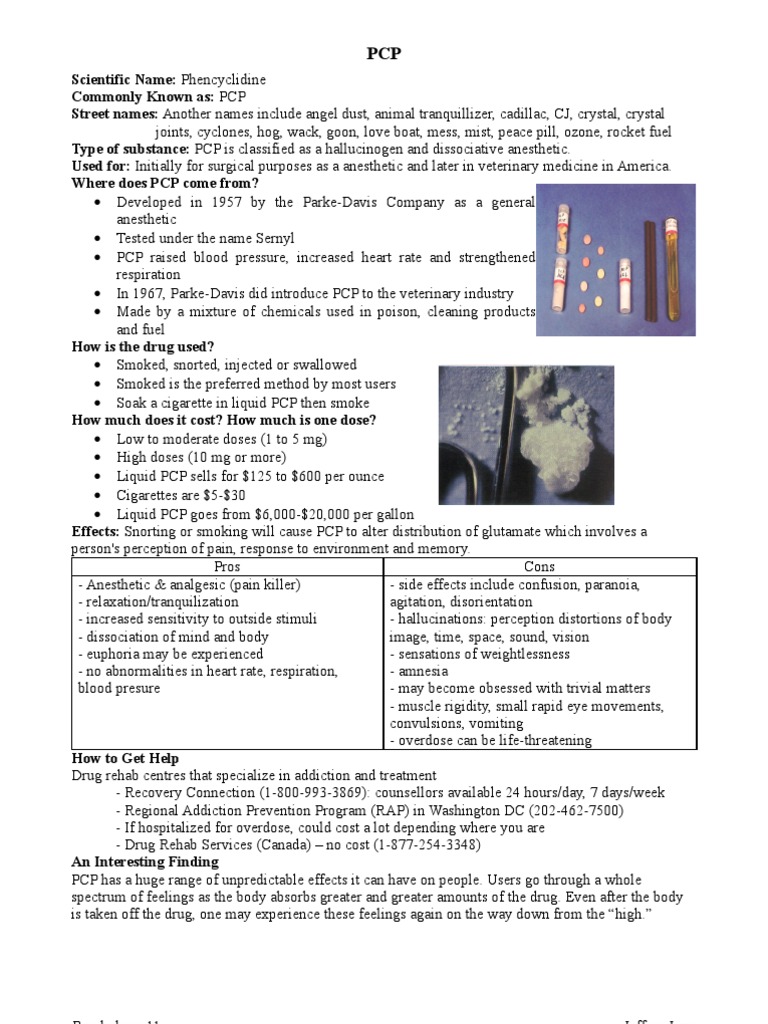 PCP Facts | Phencyclidine | Pharmacology