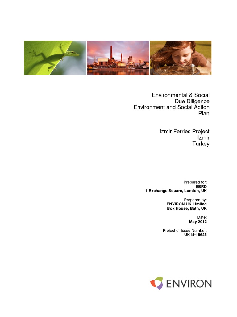 Environmental & Social Due Diligence Environment and Social Action Plan ...