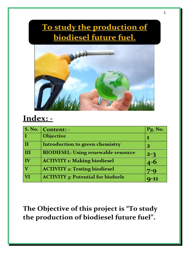 To Study The Production of Biodiesel Future Fuel | PDF | Biodiesel ...